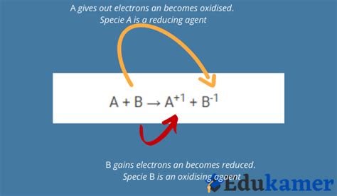 Definition Redox Reaction Edukamer