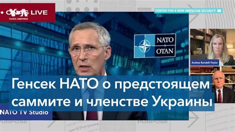 Постпред США в НАТО «Наши обязательства по поддержанию Украины незыблемы