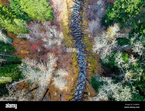 Aerial View Of A Log Jam Along A Creek In The North Cascades
