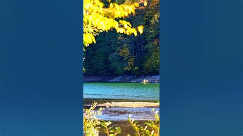 შაორი რაჭა Youtube