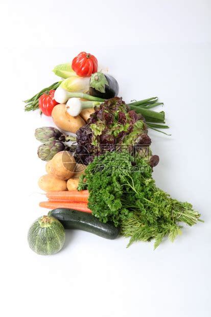 蔬菜种类繁多高清图片下载 正版图片306932300 摄图网