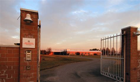 Parco Scientifico E Tecnologico Di Udine Luigi Danieli Cosef