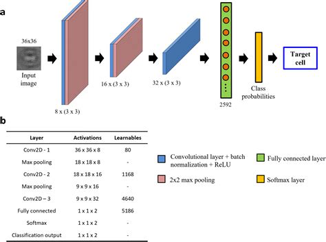 Deep Learning Assisted Holography Microscopy For In Flow Enumeration Of Tumor Cells In Blood