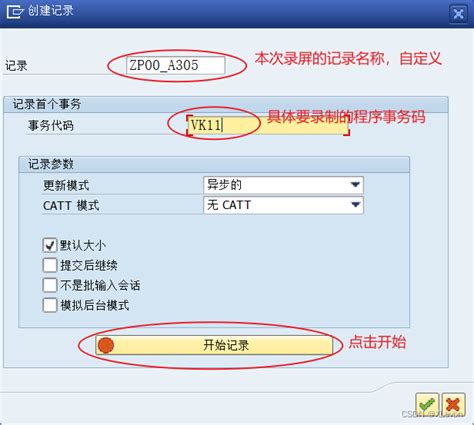【sap Abap】记录一次完整的bdc录屏开发sap Bdc录屏 Csdn博客
