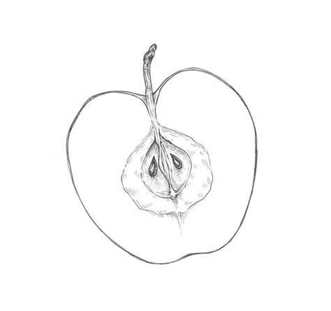 How To Draw An Apple