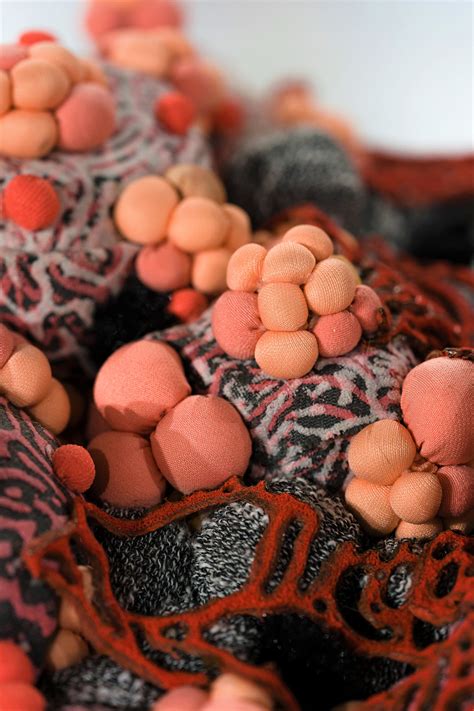 Micrographs 3 Behance