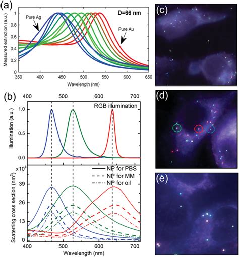 A Extinction Spectra Of Auag Nps Of Different Composition Reproduced