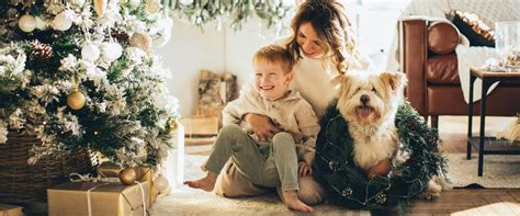 About Us Appa And Friends