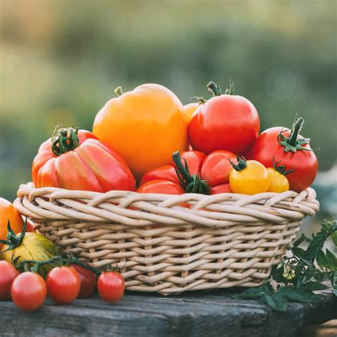 How To Freeze Tomatoes A Step By Step Guide