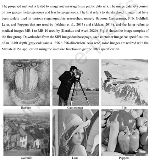 Container Image Used Download Scientific Diagram