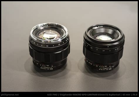 Dsc Phillipreeve Net