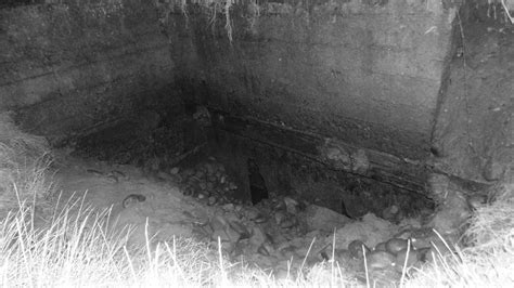 Thepit By Bleachedtongue On Deviantart