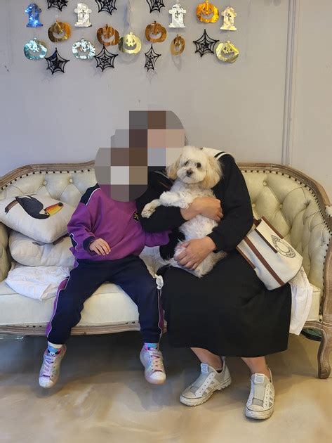 안산 2022 0087 말티푸 덕구 책임분양 포미분양 포매라니안분양 포메리안분양 치아와분양 말티스분양 푸말티분양 러시아블루분양 포미분가격 포매라니안분양가격 포메리안