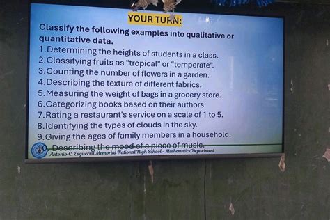 Classify The Following Examples Into StudyX