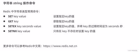 Redis入门简介常用命令以及在Java中操作Redis java redis基本使用大全 CSDN博客