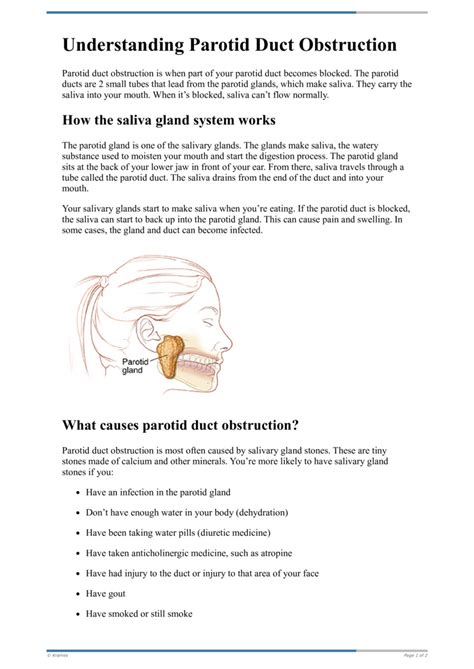 Text Understanding Parotid Duct Obstruction Healthclips Online