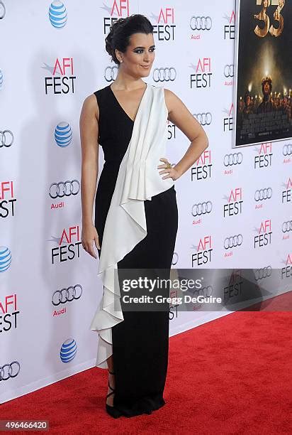 The 33 Cote De Pablo Photos And Premium High Res Pictures Getty Images