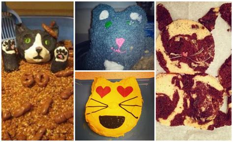Baking Fails We Think These Cakes Are Supposed To Look Like Cats