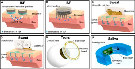Biofluids And Their Extraction Strategies For Glucose Monitoring Download Scientific Diagram
