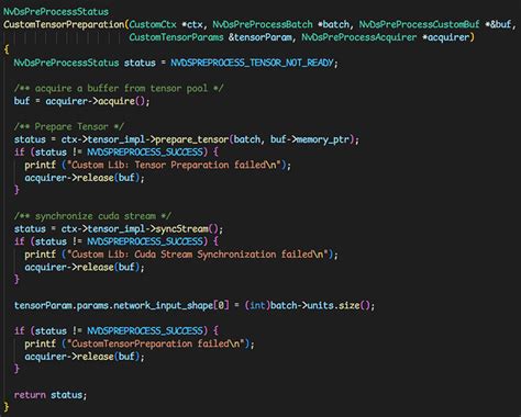 How To Inference With A Multi Input Model That Requires Two Streams Of Images DeepStream SDK