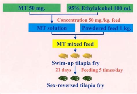 The Protocol For Preparation And Application Of Hormone Mixed Feeds For Download Scientific