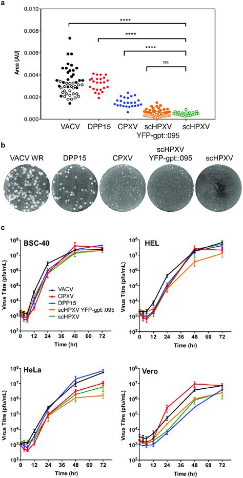 Schpxv Yfp Gpt095 And Schpxv Growth Properties In Culture A Plaque