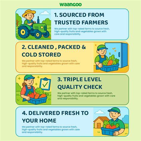 Fresh Washed Ginger Online Singapore Buy Fresh Ginger Online Singapore Fresh Ginger Online