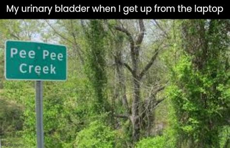 Pee Pee Creek Memes Imgflip