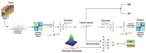 Schematic Representation Of The Proposed Aae Model Starting From The Download Scientific