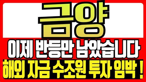 금양 반등만이 남았습니다 해외 자금 수조원대 투자 임박 ※관련 내용 긴급 공시 금양 금양주가전망 금양대응전략 해외 패시브 자금 4695 2차전지