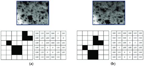 Subset And Grey Levels Before A And After B Deformation Download Scientific Diagram