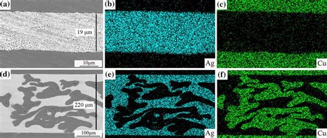 Sem And Element Mapping Of The Sintered Joints A Sem Of Ag Sintered