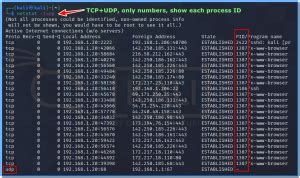 Lab Using Netstat Command To View Networking Information Labs Net