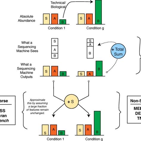 Scaling Normalization Approaches From The Perspective Of Compositional Download Scientific