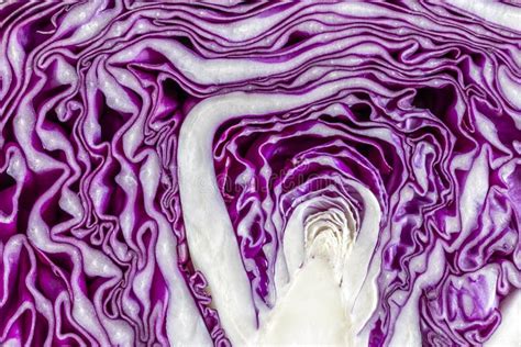 Cerrar En Rebanada Violeta Imagen De Archivo Imagen De Macro 184647847