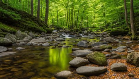 Willard Brook State Forest Explore Massachusetts Parks Verdant Traveler