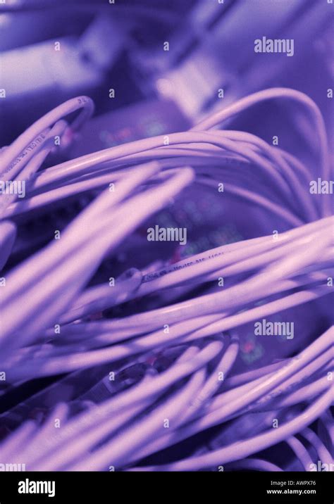Computer Wiring Close Up Stock Photo Alamy