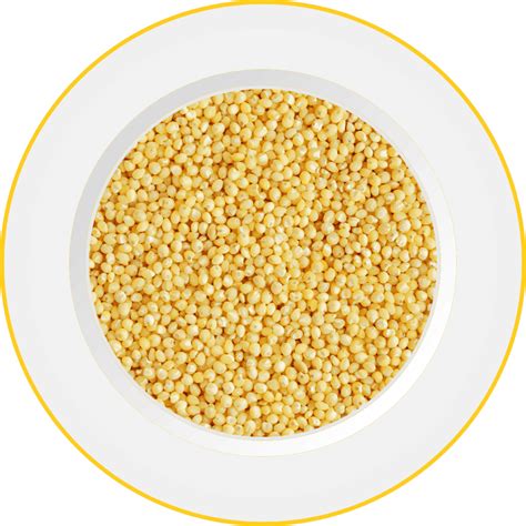 Red Millet Seeds Ufoodin