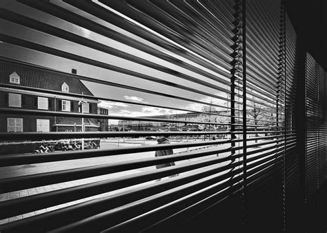 Wednesday Afternoon 255 366 Jenny De Groot Flickr