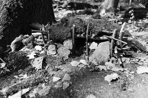 Hobbit Architecture Hobbit Architektur Docugraphy