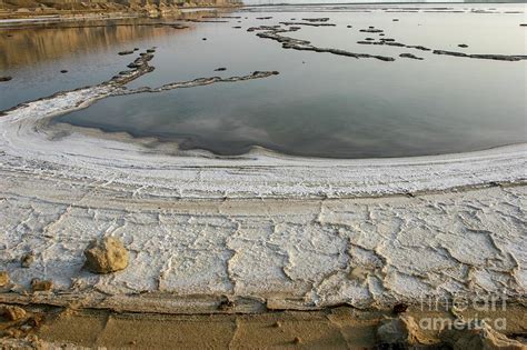 Salt Formation At The Dead Sea 2 By Science Photo Library