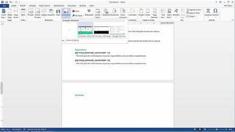 Screen Shot Word Document