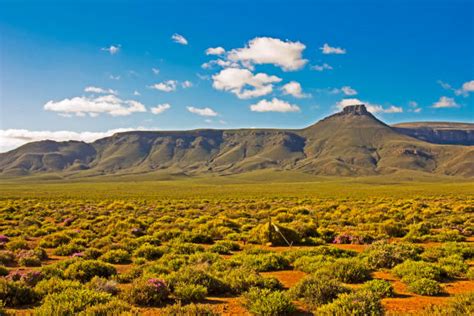 Paisagem Karoo
