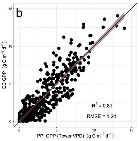 Behind The Paper Testing A New Satellite Derived Vegetation Index In A New Biome — Abdulhakim Abdi