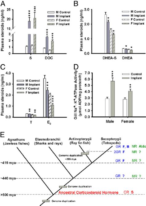 Biological Effects Of 11 Deoxycortisol Implants A Effect Of 11