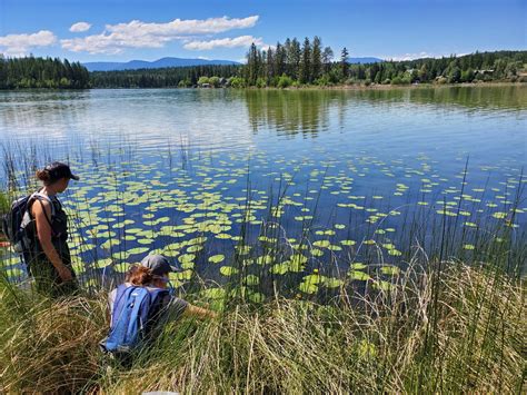 Kootenay Crew Conducts Wetland Assessments The Nature Trust Of British Columbia
