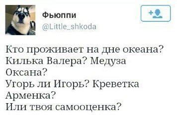 Veronika On Twitter Https T Co Byoa Wpjgm Twitter