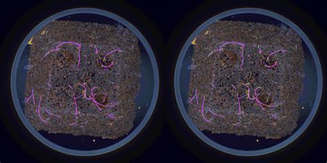 Ai To Transplant Only Healthy Young Plants Into Greenhouse Vision Robotics Powered By Wur
