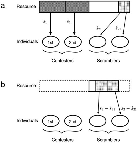 illustration of resource partitioning in a site for the case of contest