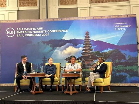 Anant Patel On Linkedin Hlbinternational Emergingmarkets